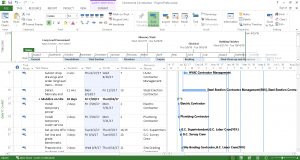 Microsoft Project | Grid Group